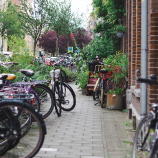A Day in De Pijp Neighbourhood, Amsterdam (tips by a local ...