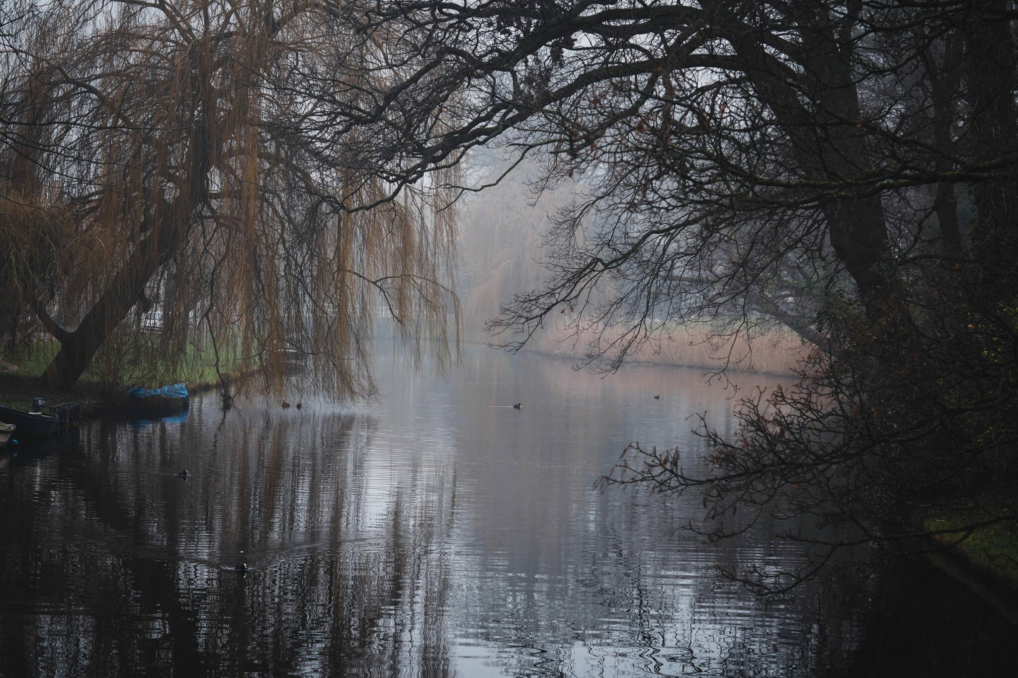 A Misty Start of the Year | Amsterdamian - Amsterdam Blog