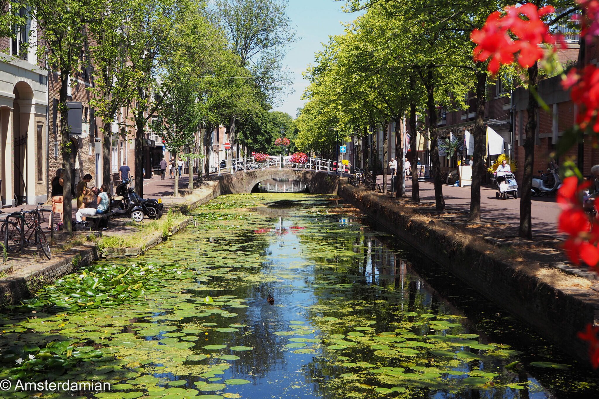 Top Seven Places to See in South Holland | Amsterdamian - Amsterdam Blog