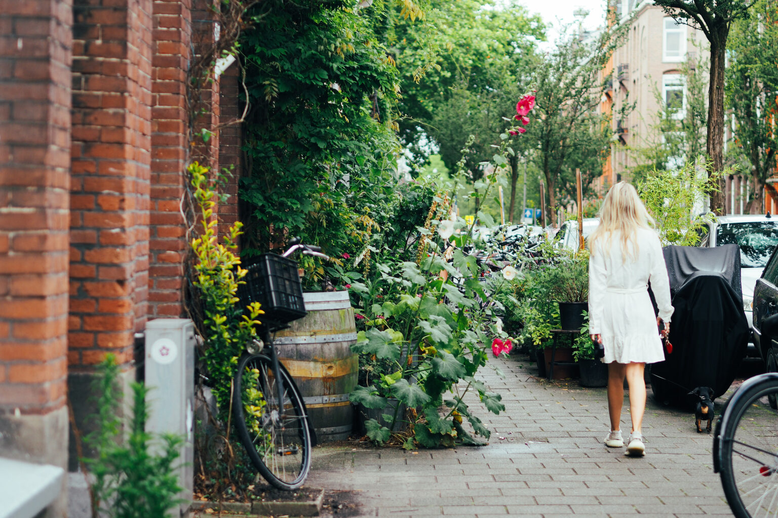 A Day in De Pijp Neighbourhood, Amsterdam (tips by a local ...