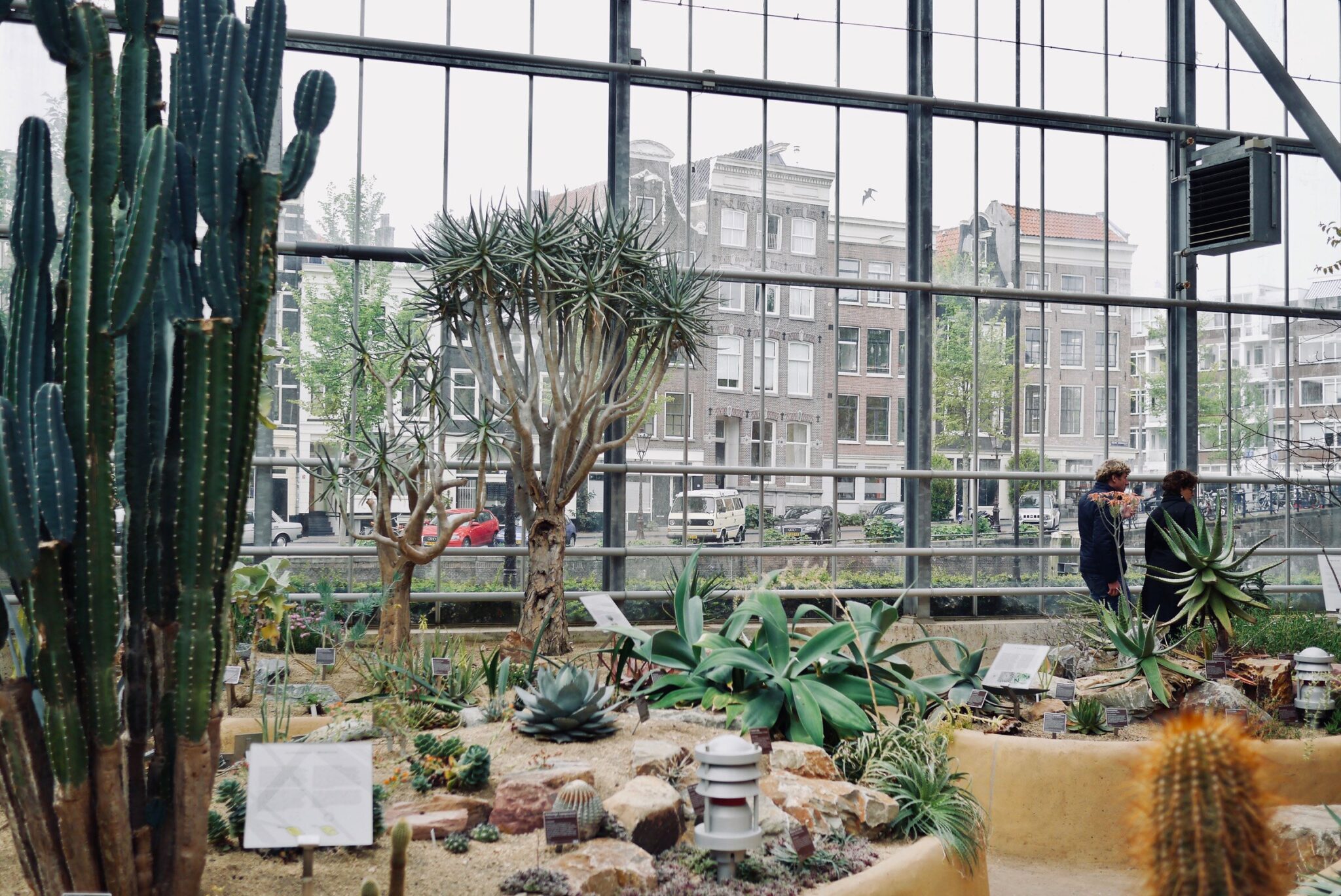 Stop and Smell the Flowers: Hortus Botanicus Amsterdam, One of the ...